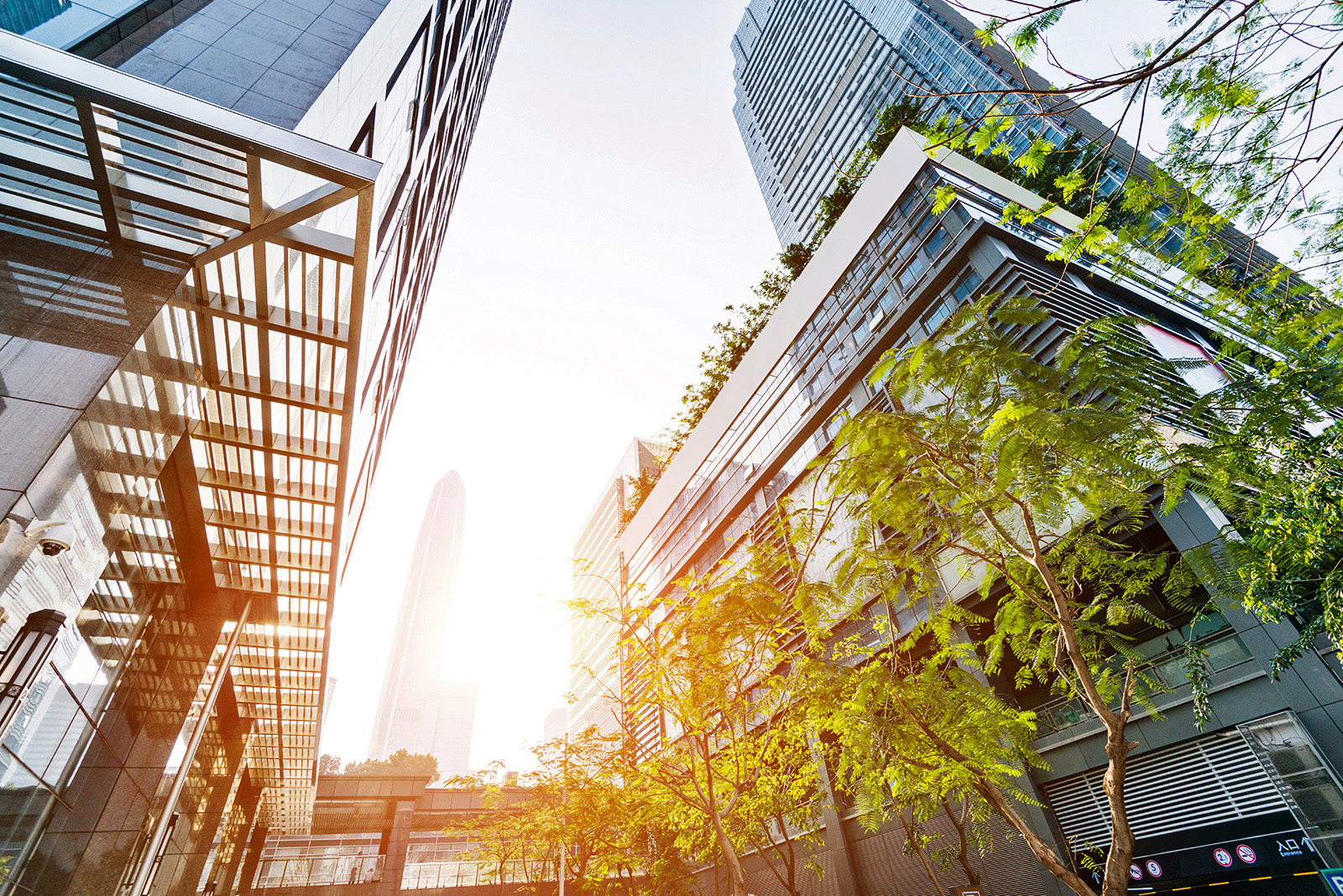 Mortgage Options - Invis