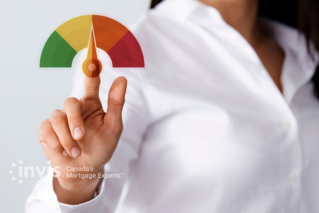Tips to Improve Your Credit in 6 Months - Invis